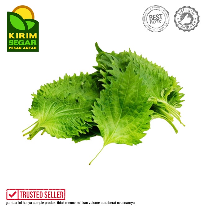 Jual Daun Shiso / Daun Oba / Daun Perilla / Japan Herb Segar / pack ...