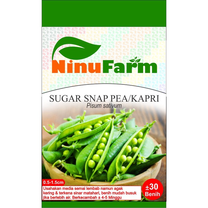 Jual Benih Kapri Ercis Sugar Snap Pea 20Seeds | Shopee Indonesia