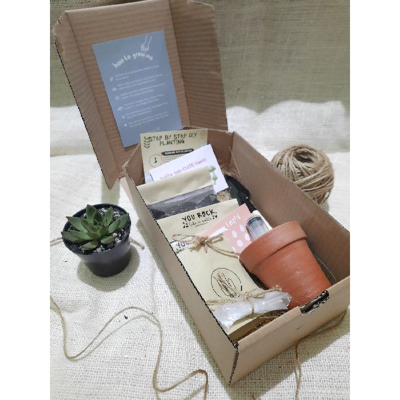 Jual DIY Succulent Planting Kit | Shopee Indonesia