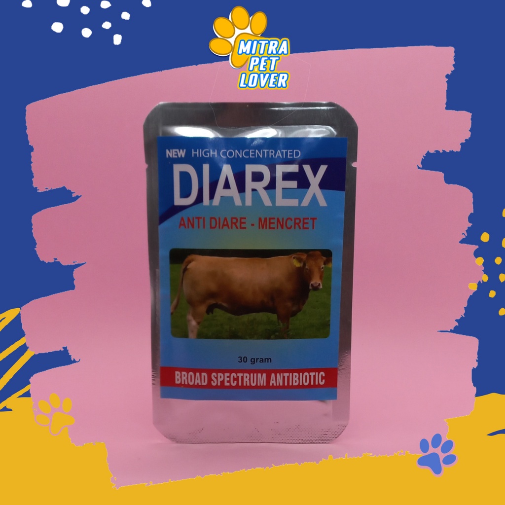Jual OBAT DIARE SAPI - DIAREX SAPI 30GRAM - ANTIBIOTIK RADANG USUS ...