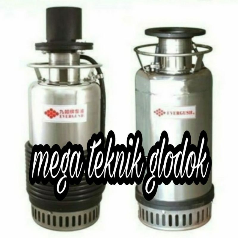 Jual Pompa Celup Tambak Udang 4 In Pompa MAXON EXH 54 5Hp 3Phase ...