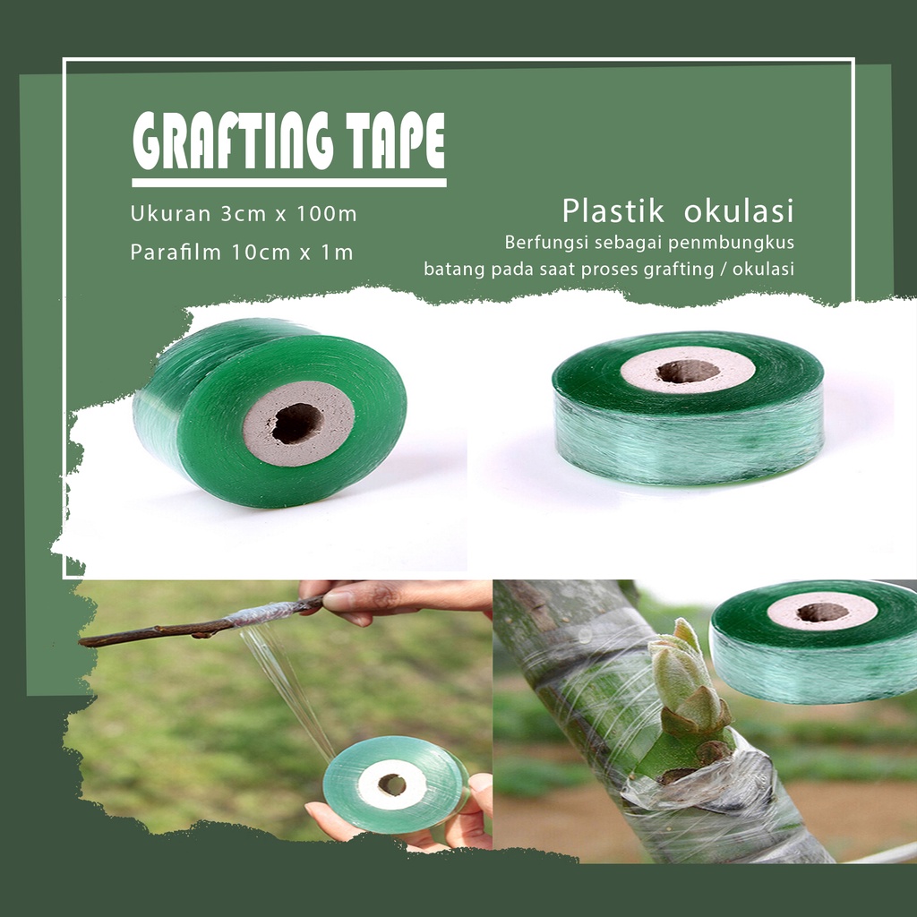 Jual ISOLASI OKULASI GRAFTING TAPE 3 cm | Shopee Indonesia