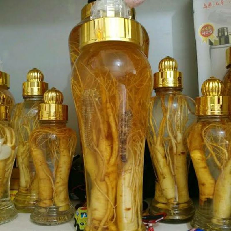 Jual ginseng merah korea lengkap botol | Shopee Indonesia