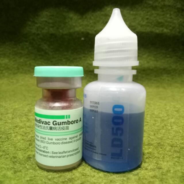 Jual Vaksin gumboro a / medivac gumboro a | Shopee Indonesia