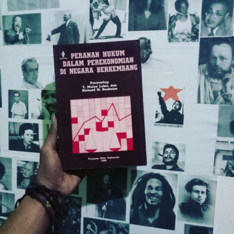 Jual Peranan Hukum dalam Perekonomian di Negara Berkembang by Richard M ...