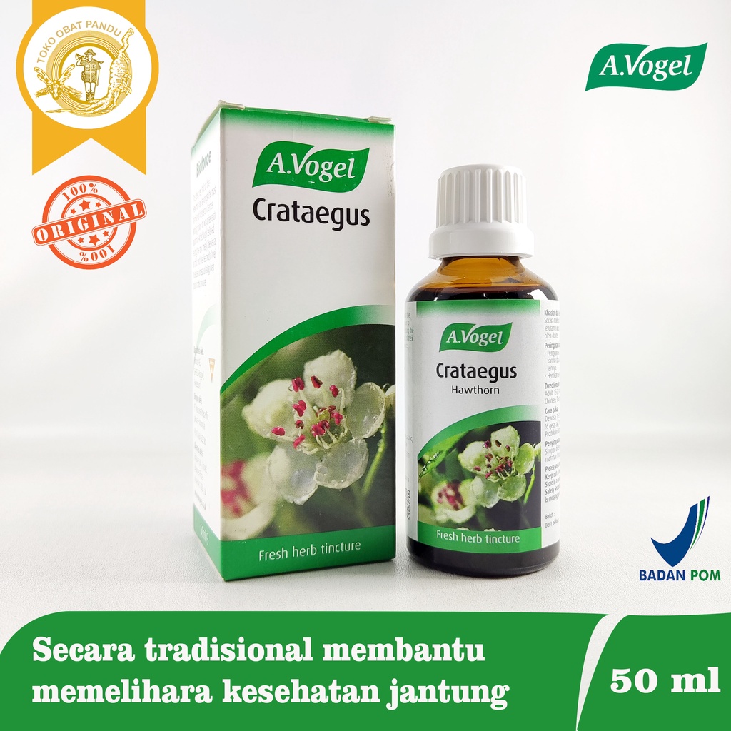 Jual AVOGEL CRATAEGUS / OBAT JANTUNG | Shopee Indonesia