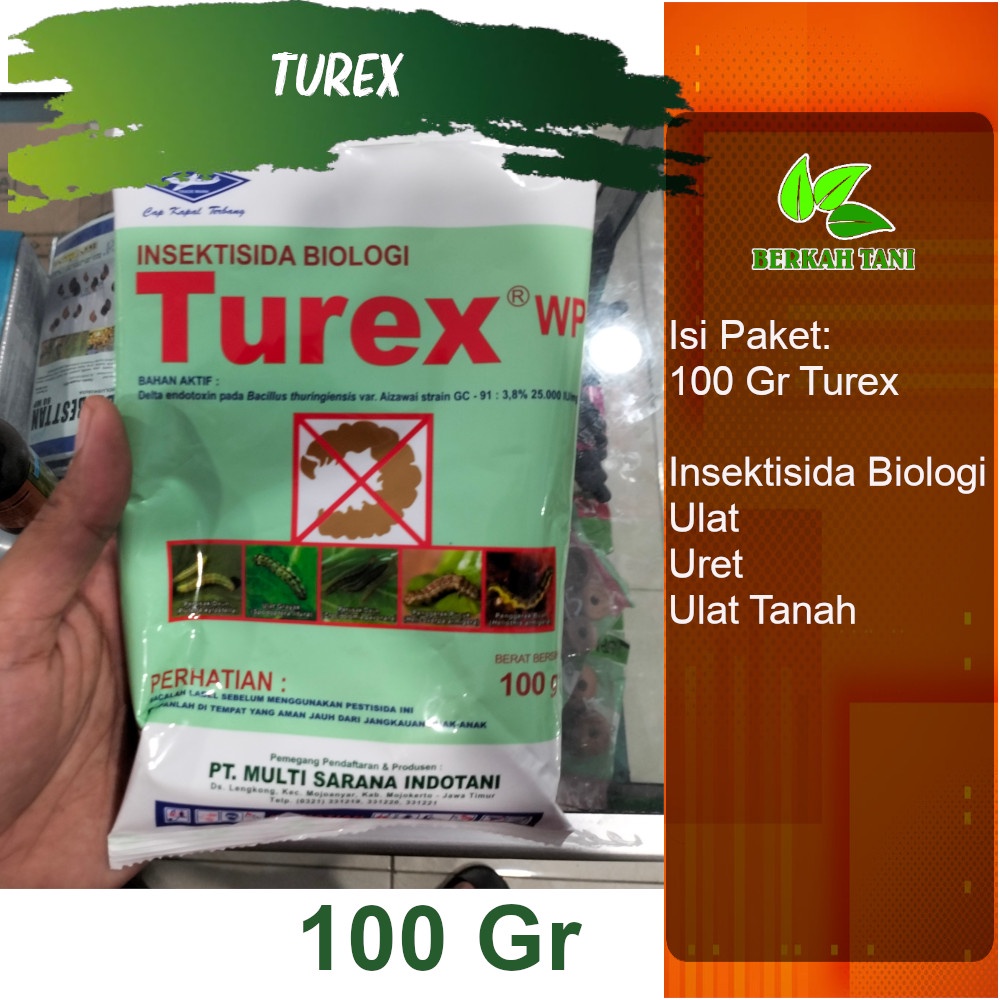 Jual Turex 100 Gram Insektisida Hama Uret Tanah Ulat Grayak | Shopee ...