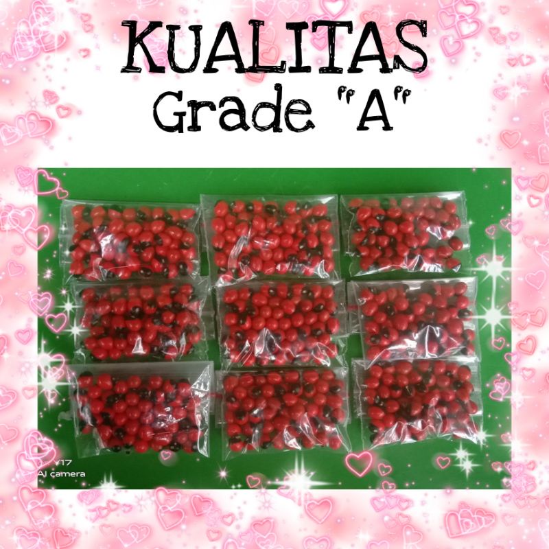 Jual BIJI SAGA / SOGOK TUNTENG / SOGO TELIK / Tanaman obat berkhasiat ...