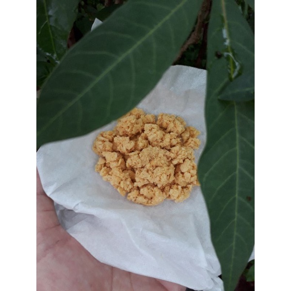 Jual Telur Maggot Bsf SUPER 100gram (5 wadah isi 20gram) (GARANSI ...