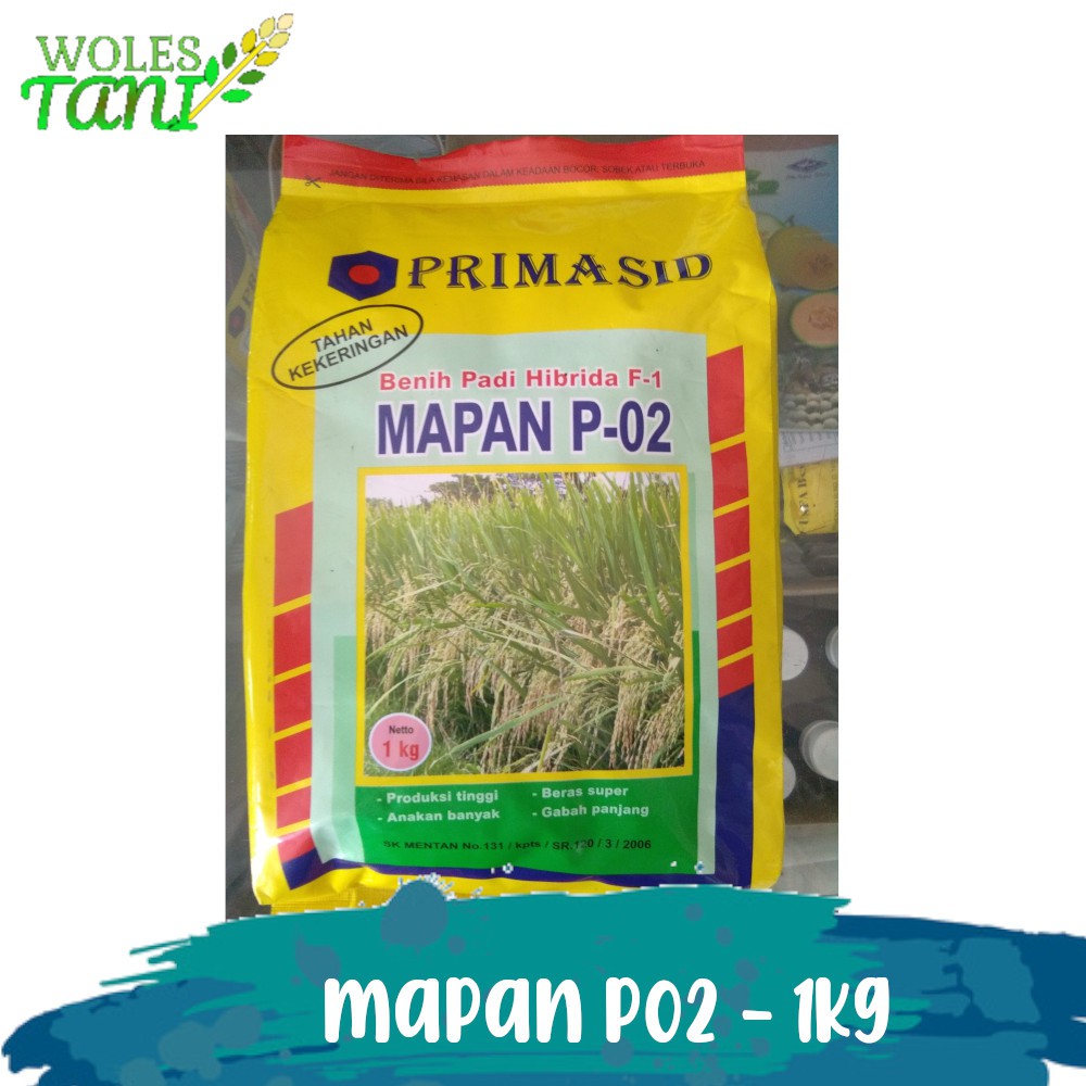 Jual Mapan P02 Mapan P 02 1 Kg Benih Padi Hibrida | Shopee Indonesia