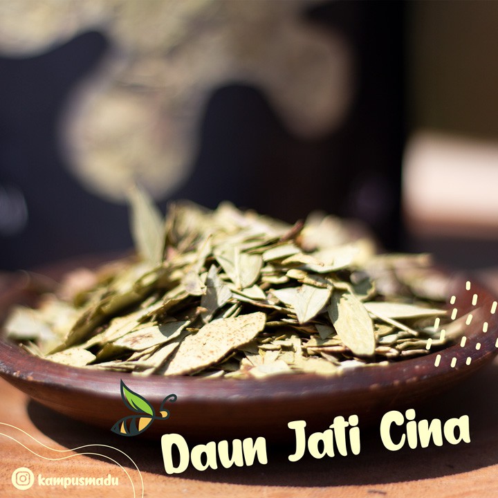 Jual DAUN JATI CINA/DAUN SENA JSR HERBAL ALAMI | Shopee Indonesia
