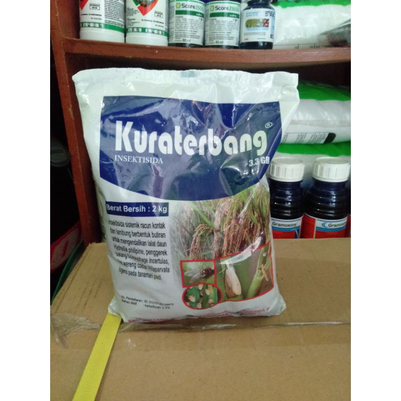 Jual INSEKTISIDA KURATERBANG 3,3GR KEMASAN 2KG | Shopee Indonesia