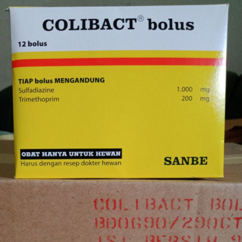 Jual COLIBACT 1 BOX ISI 12 BOLUS SANBE | Shopee Indonesia