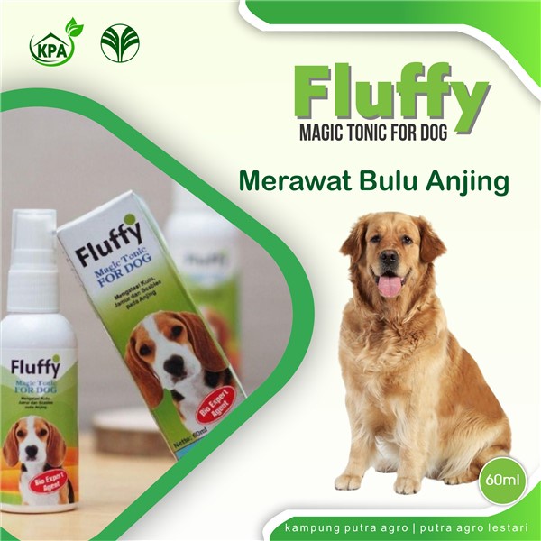 Jual Obat Pembasmi Kutu Jamur dan Scabies pada Anjing Cepat Alami ...