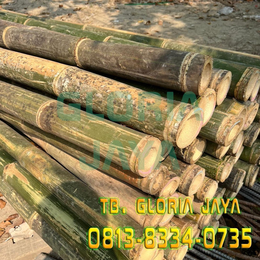 Jual bambu besar untuk keperluan konstruksi diameter besar | Shopee ...