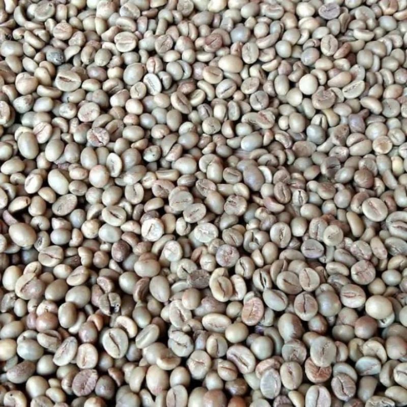 Jual Green bean robusta /robusta Dampit / robusta asli Semeru 1KG ...