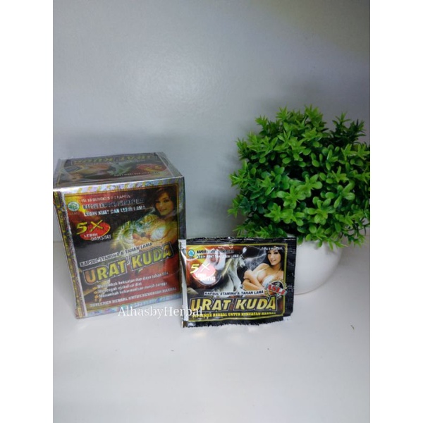 Jual URAT KUDA 5X KAPSUL STAMINA & TAHAN LAMA (1box isi 10 sachet ...