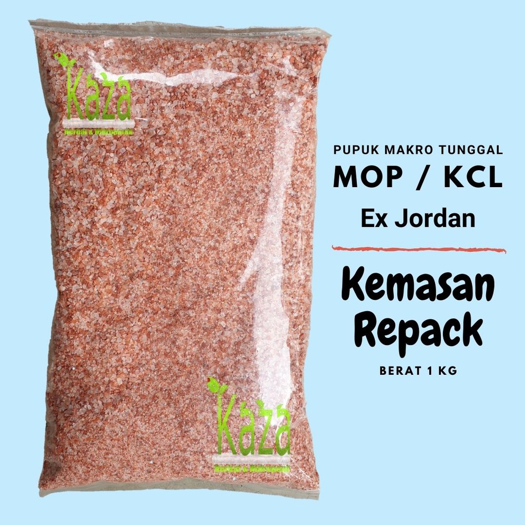 Jual Pupuk MOP KCl Repack 1 kg Muriate of Potash Sumber Kalium Makro ...