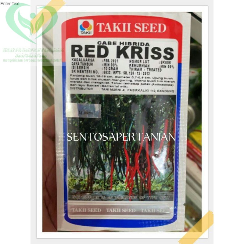 Jual benih cabai keriting hibrida RED KRISS 10gram dari TAKII SEED | Shopee Indonesia