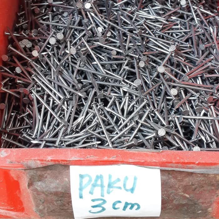 Jual Paku 3 cm 1kg | Shopee Indonesia