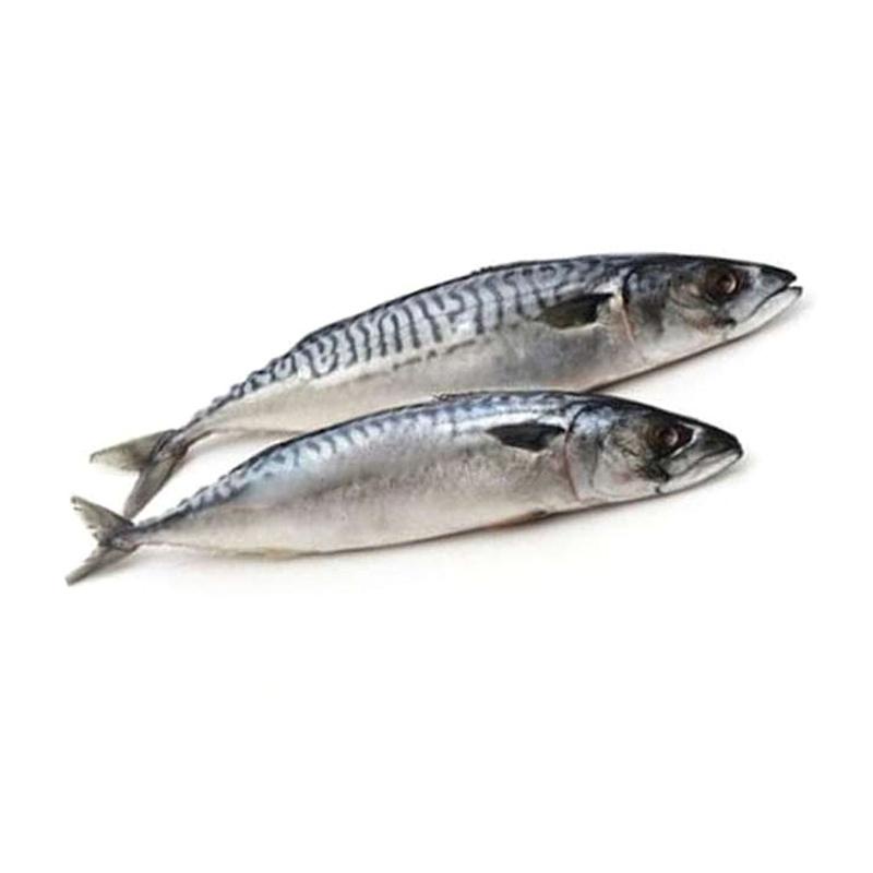 Jual PASAR SEGAR - IKAN SALEM 1KG | Shopee Indonesia