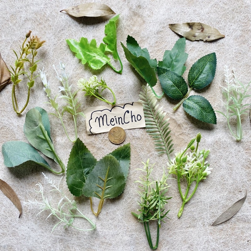 Jual (1-5 helai) Aplikasi Bunga Daun Putik Terarrium Bahan Mahar Filler ...