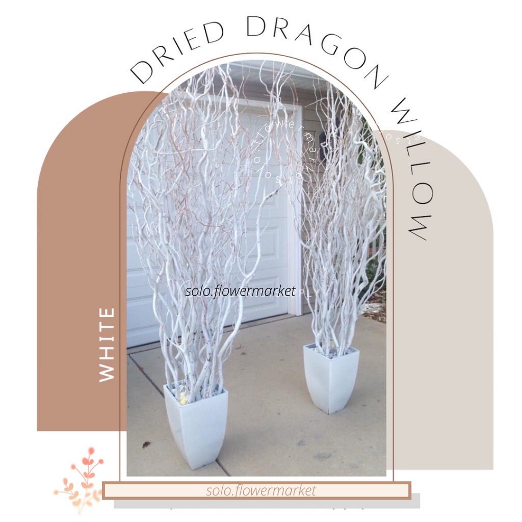 Jual 3-10PCS DRIED DRAGON WILLOW 1pc Ranting Artificial branch plastik ...