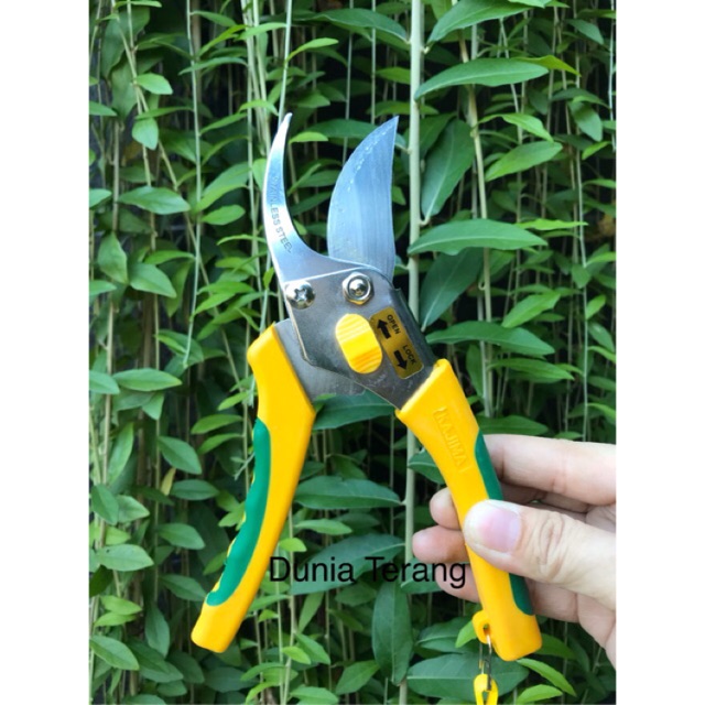 Jual Gunting Dahan / Bunga / Ranting / Daun - Stainless Steel KAJIMA ...