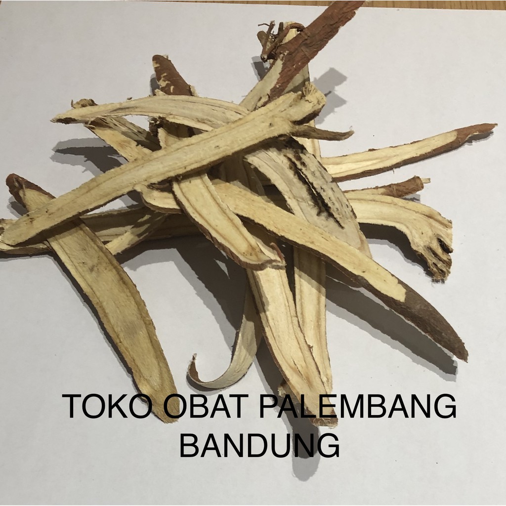 Jual LICORICE KAYU MANIS 10GR AKAR MANIS GAN CAO KAN CAO GANCAO ...