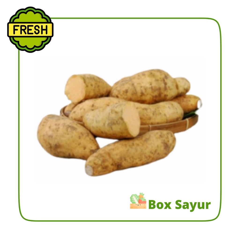 Jual Ubi Cilembu Mentah / Ubi Manis / Ubi Madu - 1 Kg | Shopee Indonesia Jual Ubi Cilembu Mentah / Ubi Manis / Ubi Madu - 1 Kg | Shopee Indonesia
