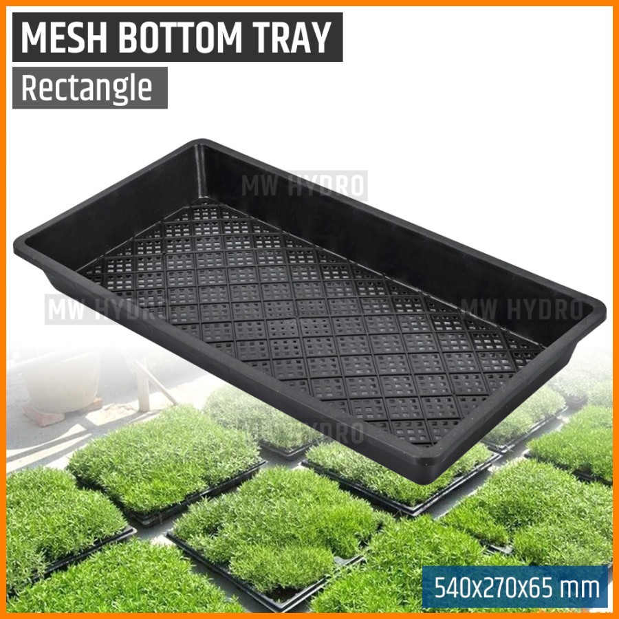 Jual Mesh Bottom Tray For Sprouting, Seedling, Microgreen - Rectangle ...