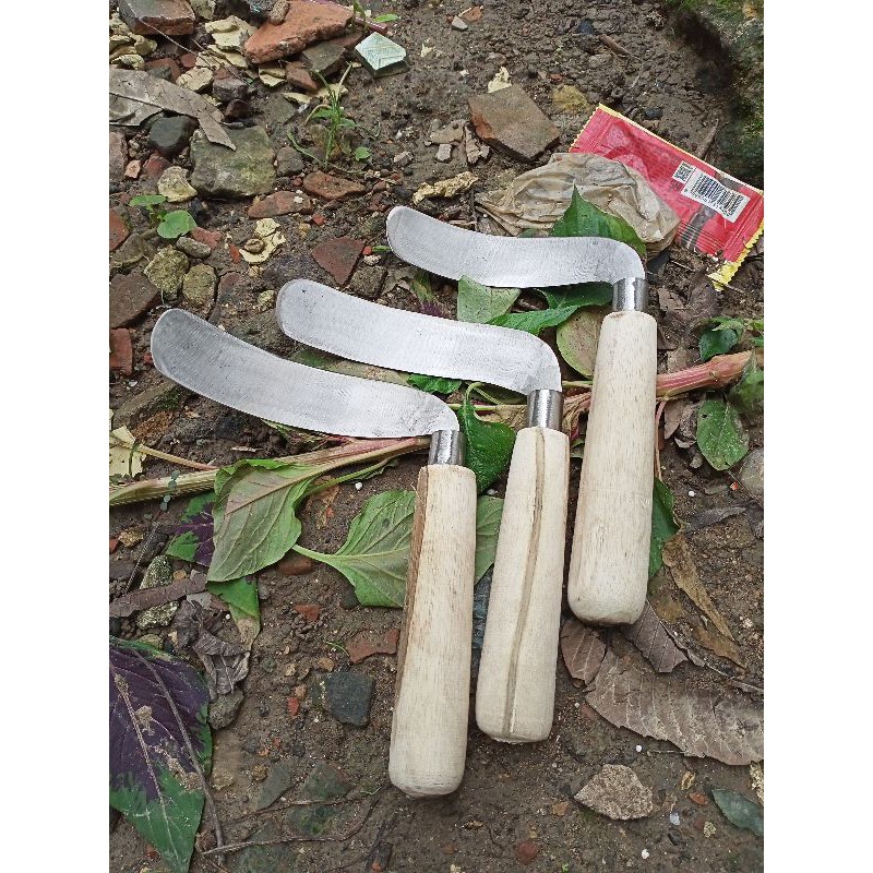 Jual alat congkel kelapa | Shopee Indonesia