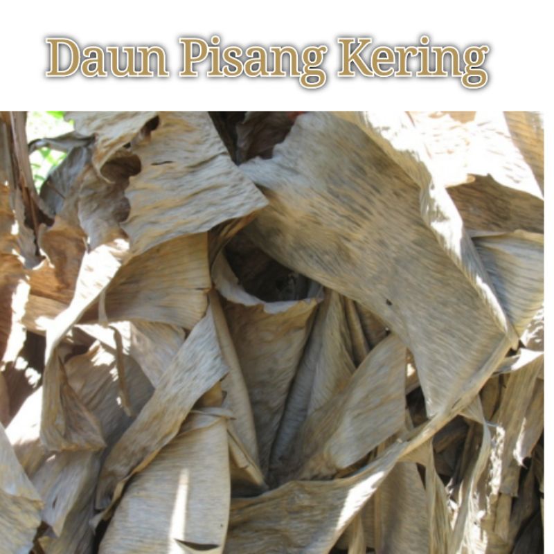 Jual Dun Pisang kering 150gr Media Tanam dan Pakan Jangkrik digunakan ...