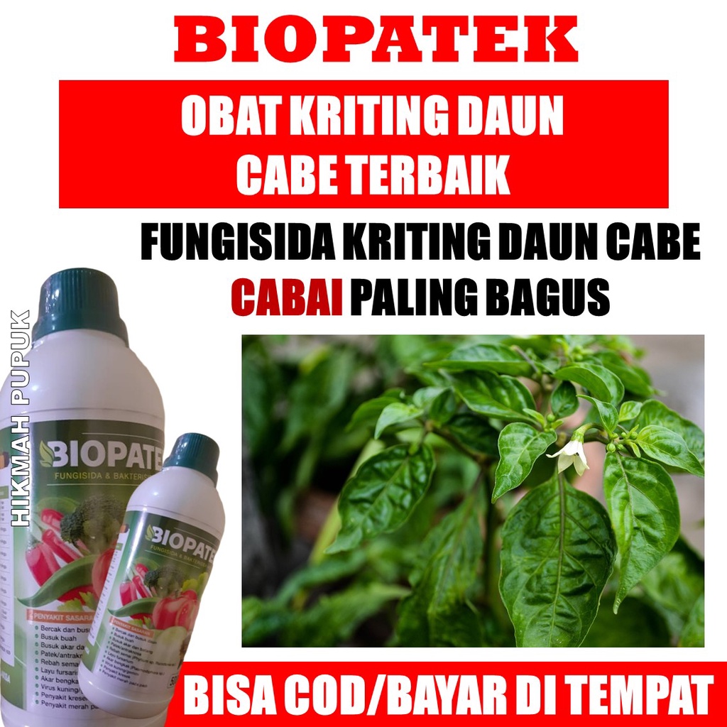 Jual FUNGISIDA BIOPATEK ATASI KRITING DAUN PADA CABAI, Bawang Daun ...
