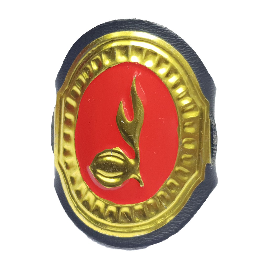 Jual Ring Pramuka Siaga Penggalang Penegak Kalep Ring kacu Hasduk Sd ...
