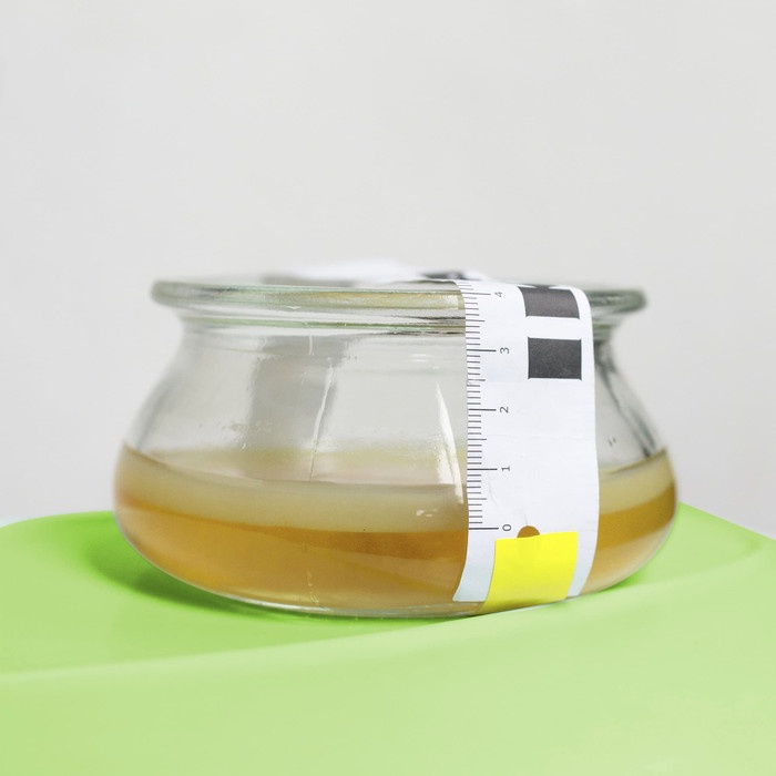 Jual teh-daun- scoby bibit super kombucha, jamur teh tebal, kombucha ...
