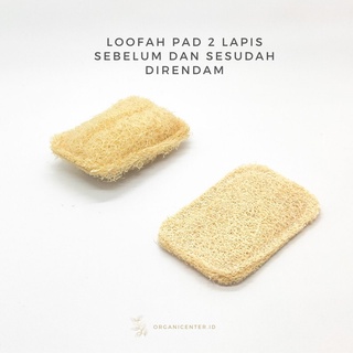 Jual Loofah Pad Organicenter / Spons Gambas Natural Alami / Sabut Cuci ...