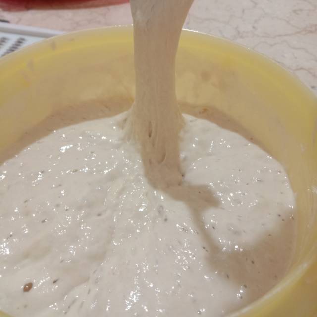 Jual Sourdough,ragi liar,ragi alami,sourdough starter,wild yeast,dry ...