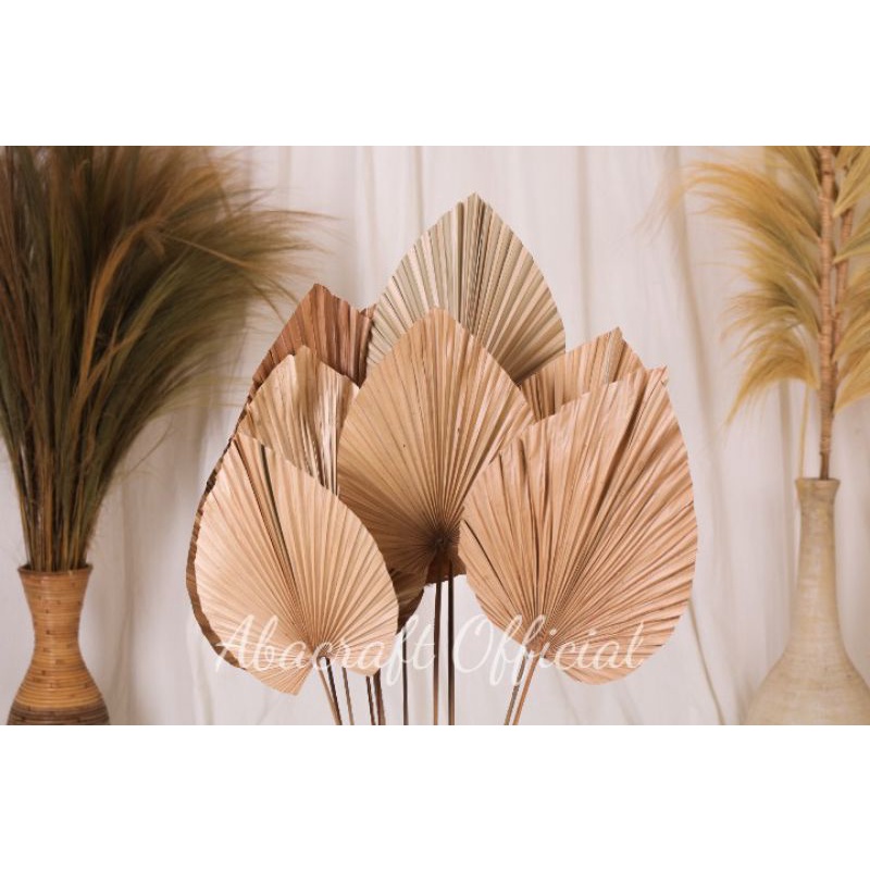 Jual TERMURAH DAUN PALEM KERING KECIL MURAH DRIED PALM DEKORASI PALEM ...