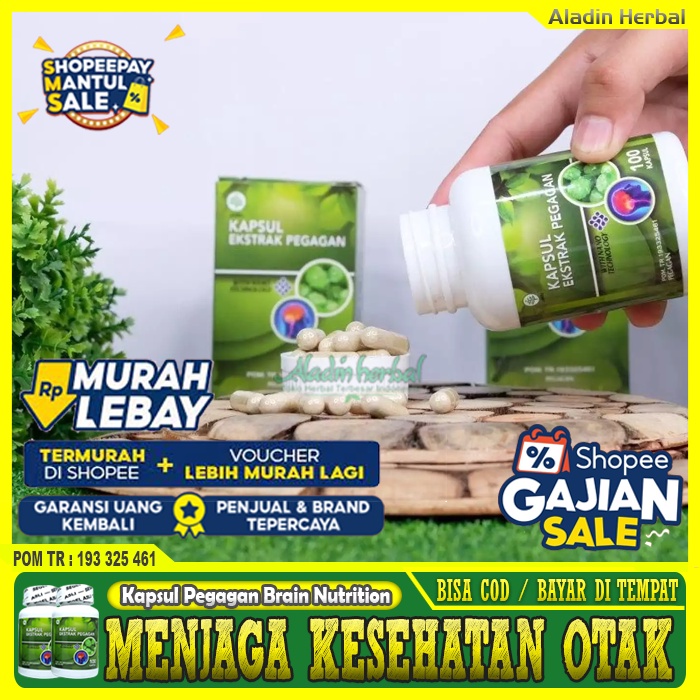 Jual Obat Pikun Untuk Dewasa / Lansia - Obat Anti Otak Lemot, Lelet ...