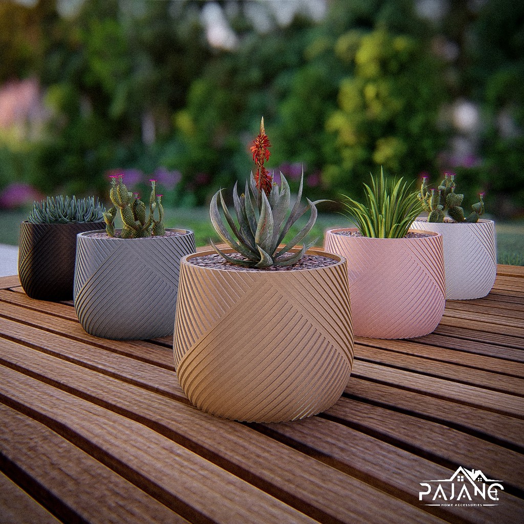 Jual Pot Sukulen kaktus Premium Geometry Line - Pot kaktus, Pot sukulen ...