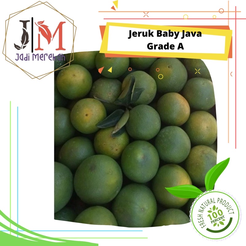 Jual [JM SoFresh] - Buah Segar Jeruk baby Java Kota Batu, Malang Manis ...