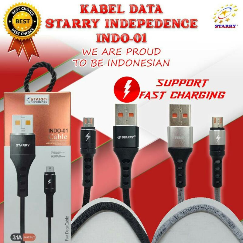 Jual Starry Independence Indo - 01 Kabel Data Type-C - Fast Charging ...
