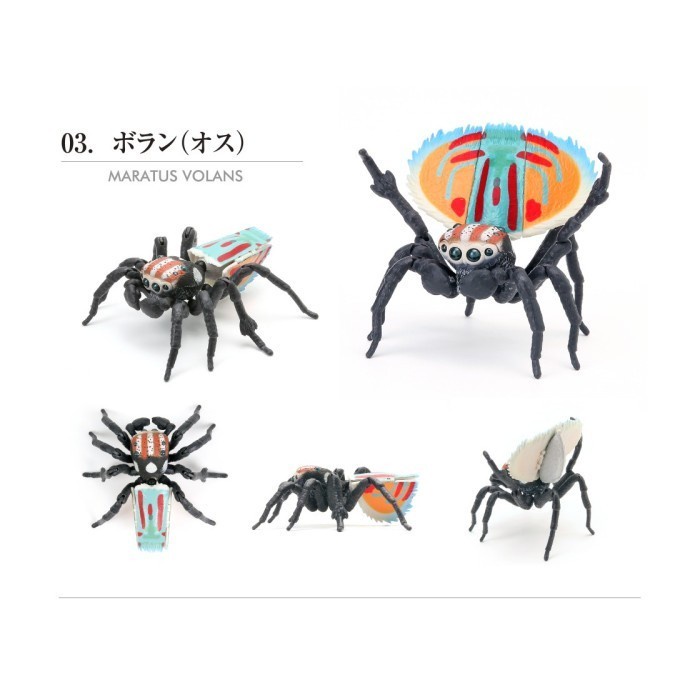 Jual SPLIT Peacock Spider Laba-laba Merak Ikimono Bandai Gacha Figure ...