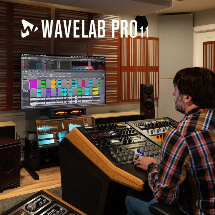 Jual Steinberg WaveLab Pro v12 For Windows & Mac (termasuk instalasi ...