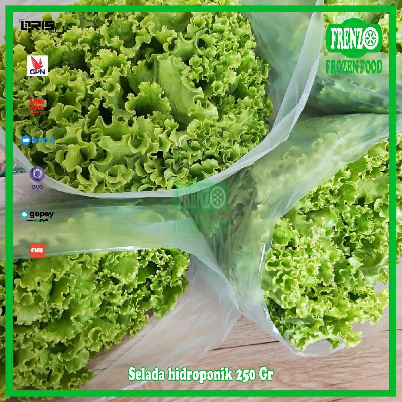 Jual Daun Selada Hidroponik | Shopee Indonesia