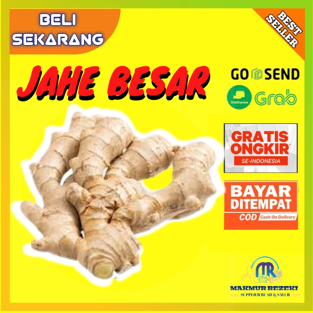 Jual JAHE GAJAH SUPER SEGAR JAHE PUTIH SEGAR JAHE PUTIH JAHE GAJAH ... Jual JAHE GAJAH SUPER SEGAR JAHE PUTIH SEGAR JAHE PUTIH JAHE GAJAH ...