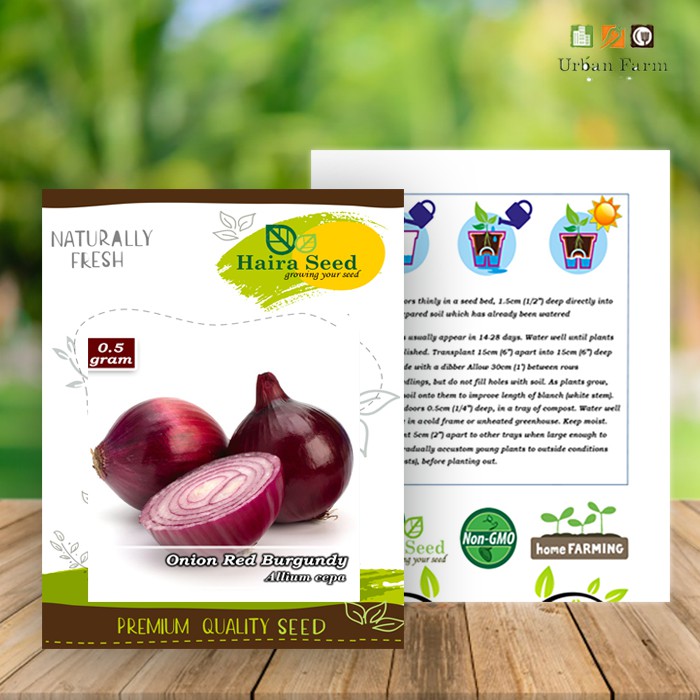 Jual Benih-Bibit Bawang Merah Red Burgundy (Haira Seed) | Shopee Indonesia