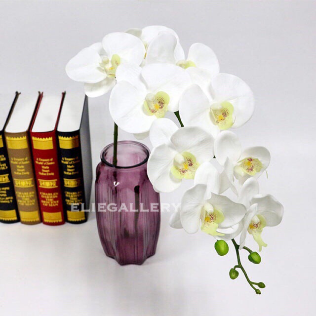 Jual Bunga ANGGREK LATEX ARTIFICIAL / Orchid Import - PUTIH / Anggrek ...