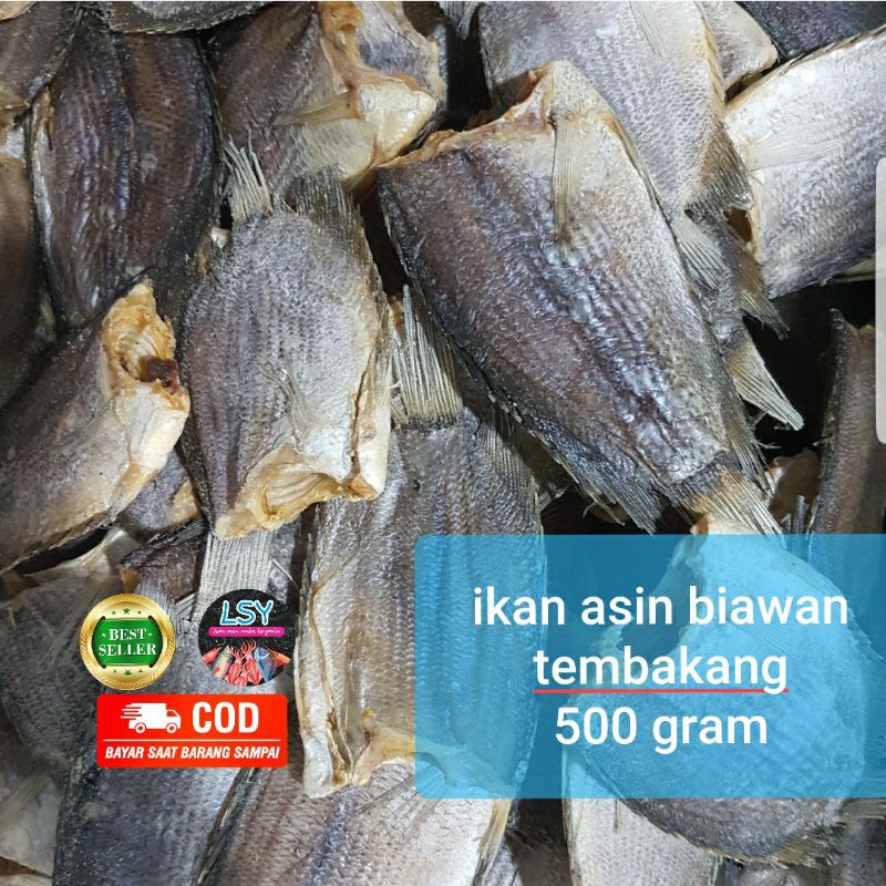 Jual ikan asin biawan / tembakang 500gr | Shopee Indonesia